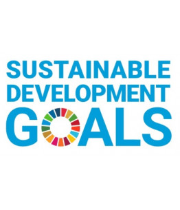 Sustainable Development Goals (SDGs) Fact Sheet series-Product - 教育資源網 ...